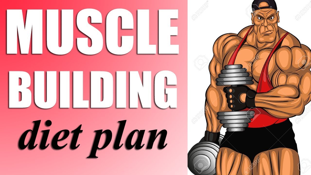 Full Day Diet Plan For Weight Gain And Muscle Building YouTube full-day-diet-plan-for-weight-gain-and-muscle-building-youtube