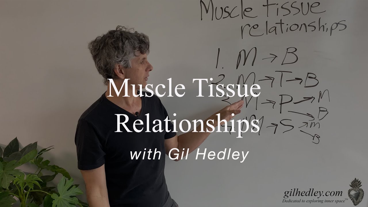 Muscle Tissue Relationships (Part 2): Learn Integral Anatomy with Gil ...