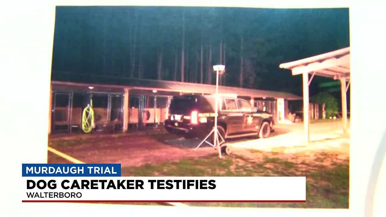 Murdaugh's dog caretaker testifies in murder trial - YouTube
