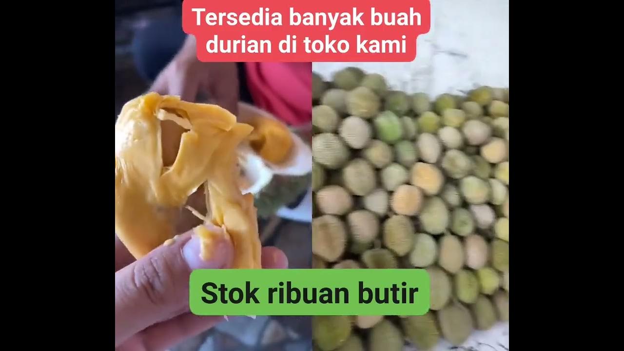 buah durian lokal super #tokobuahdurian #kiosbuah - YouTube