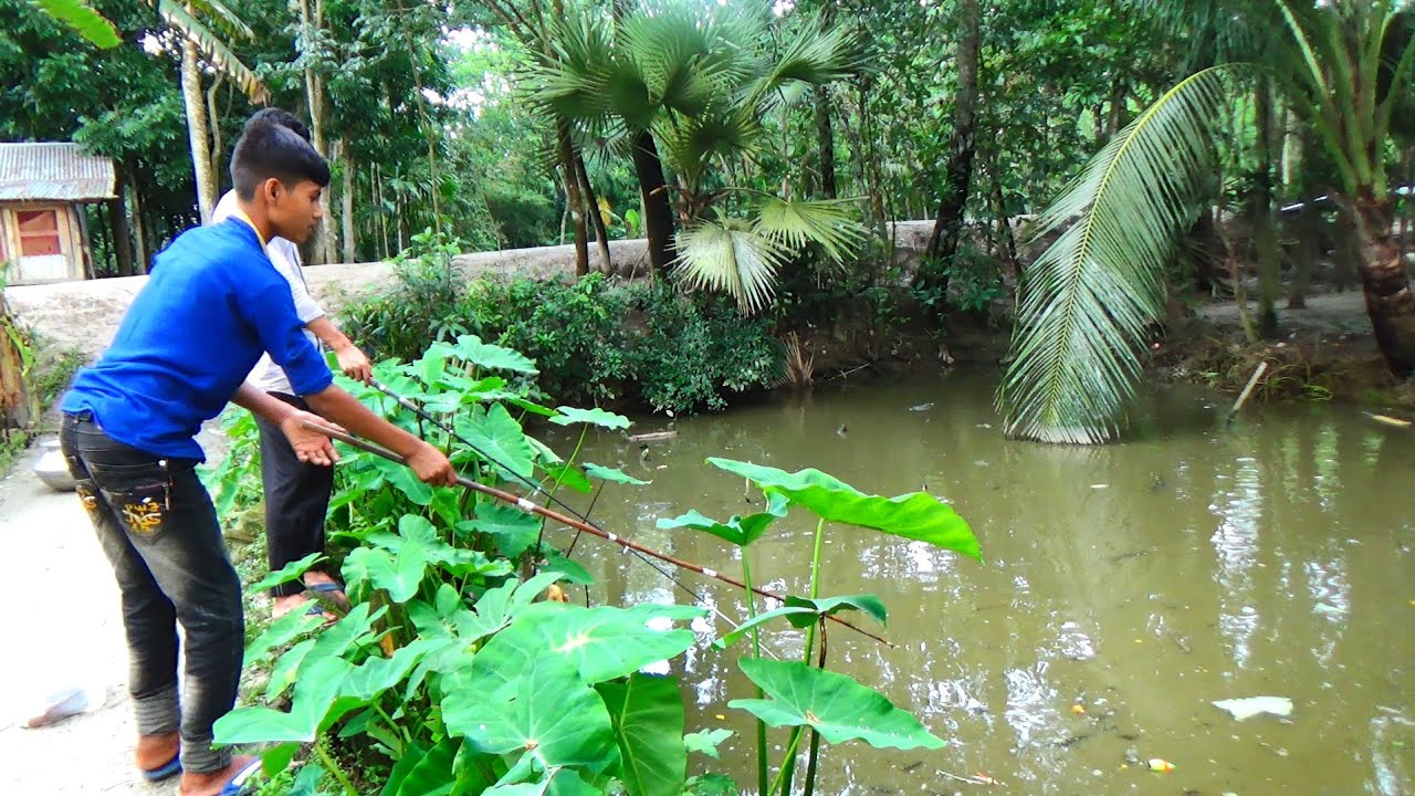 village hook fishing in Borta Para - YouTube