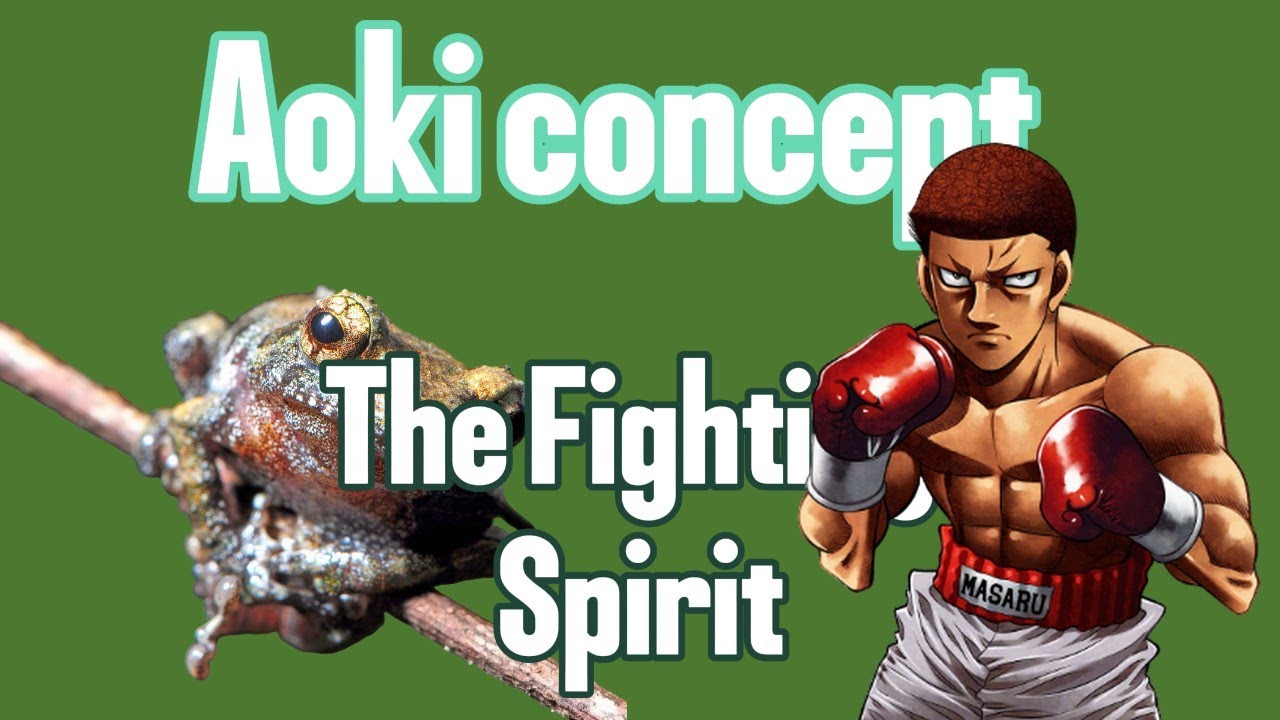 Aoki concept moves and passives | The Fighting Spirit - YouTube