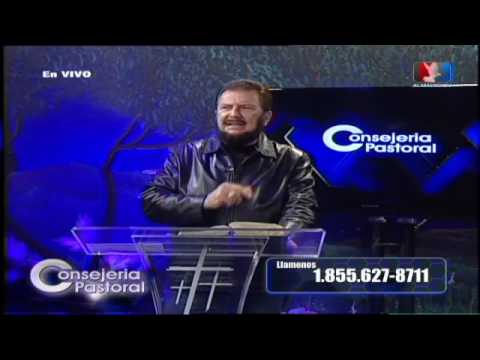 ALMAVISION HISPANIC NETWORK LOS ANGELES CA Live Stream - YouTube