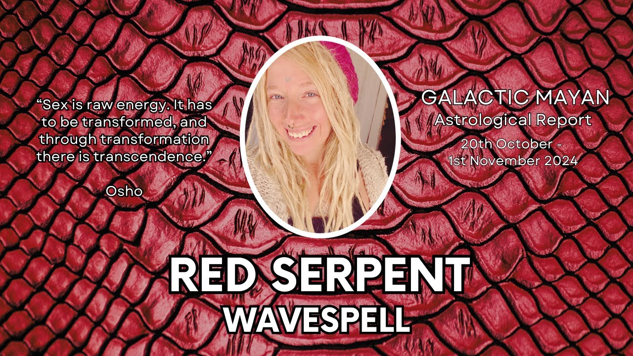 🐍Ride or Be Ridden🐍Red Serpent Wavespell🧬20th October - 1st Nov 2024 ...