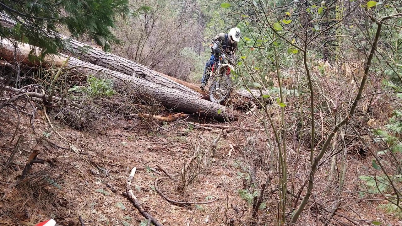 Log Crossing fun - YouTube