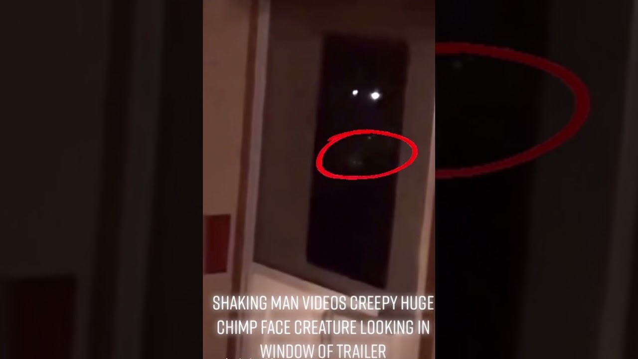 Creepy upright chimp faced creature look though the window #bigfoot # ...