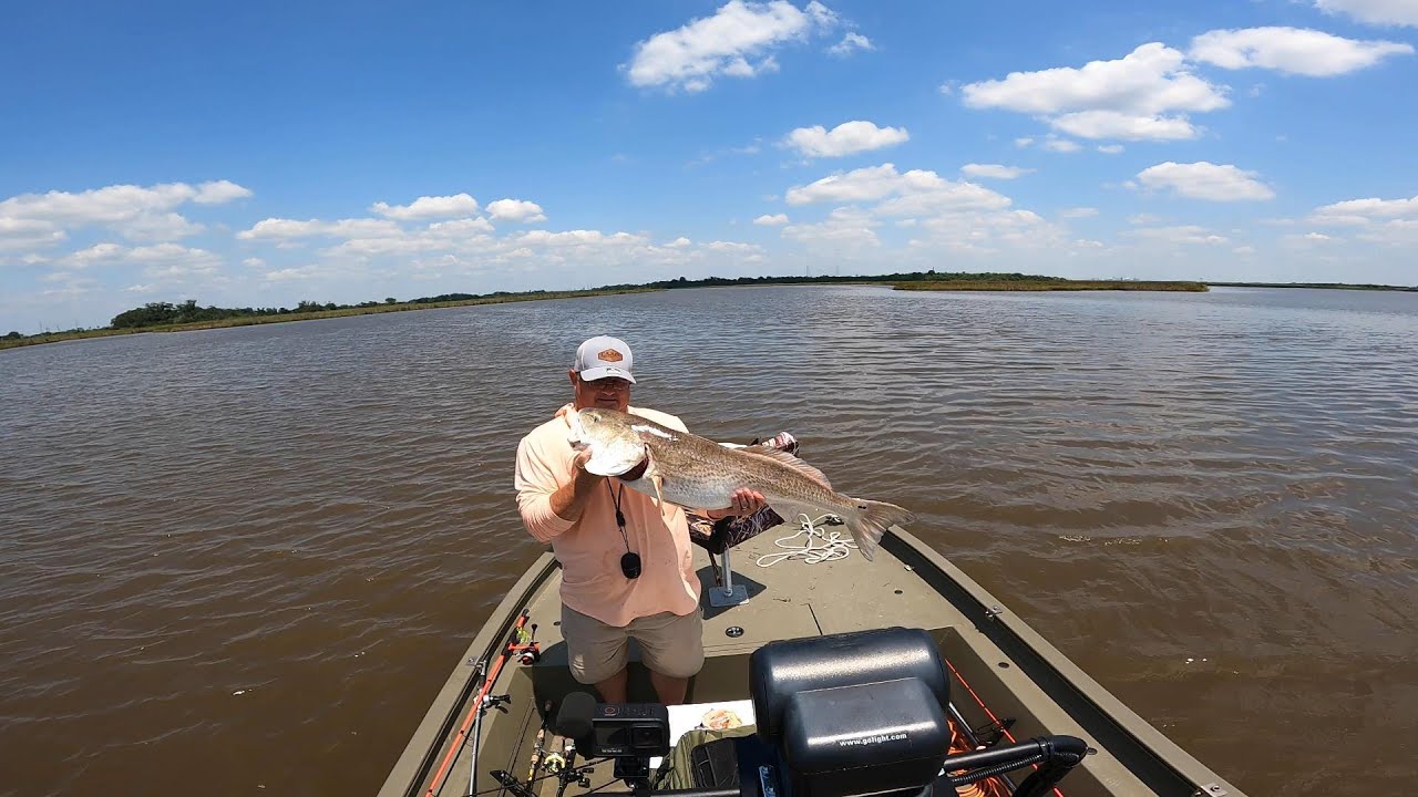 Big Redfish in the Bayou - YouTube