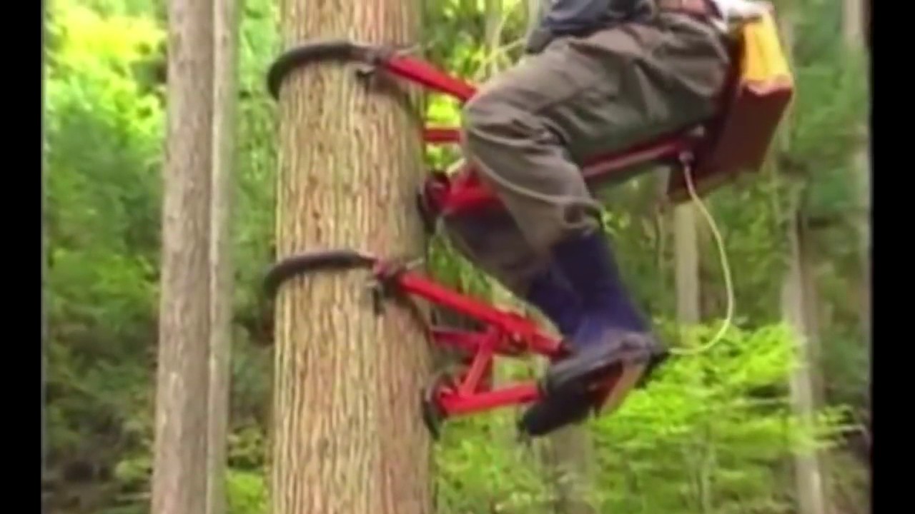 Primitive Technology Vs Awesome Coconut Tree Climbing Machine India primitive-technology-vs-awesome-coconut-tree-climbing-machine-india