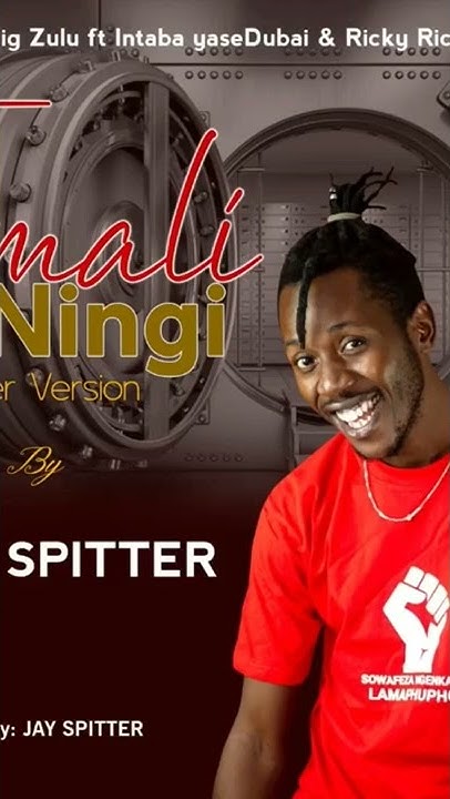 iMali eNingi by Big Zulu Feat. intaba Yase Dubai & Ricky Rick (Cove By Jay Spitter) - YouTube