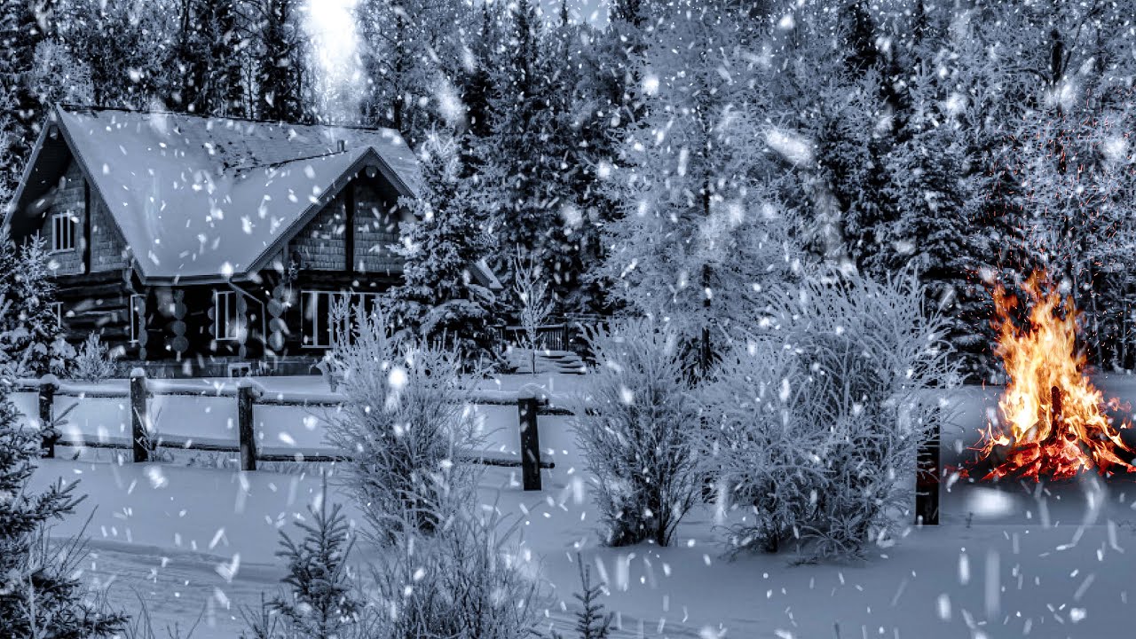Scary Cold Howling Snowstorm in the Ukrainian Carpathians for Sleeping ...