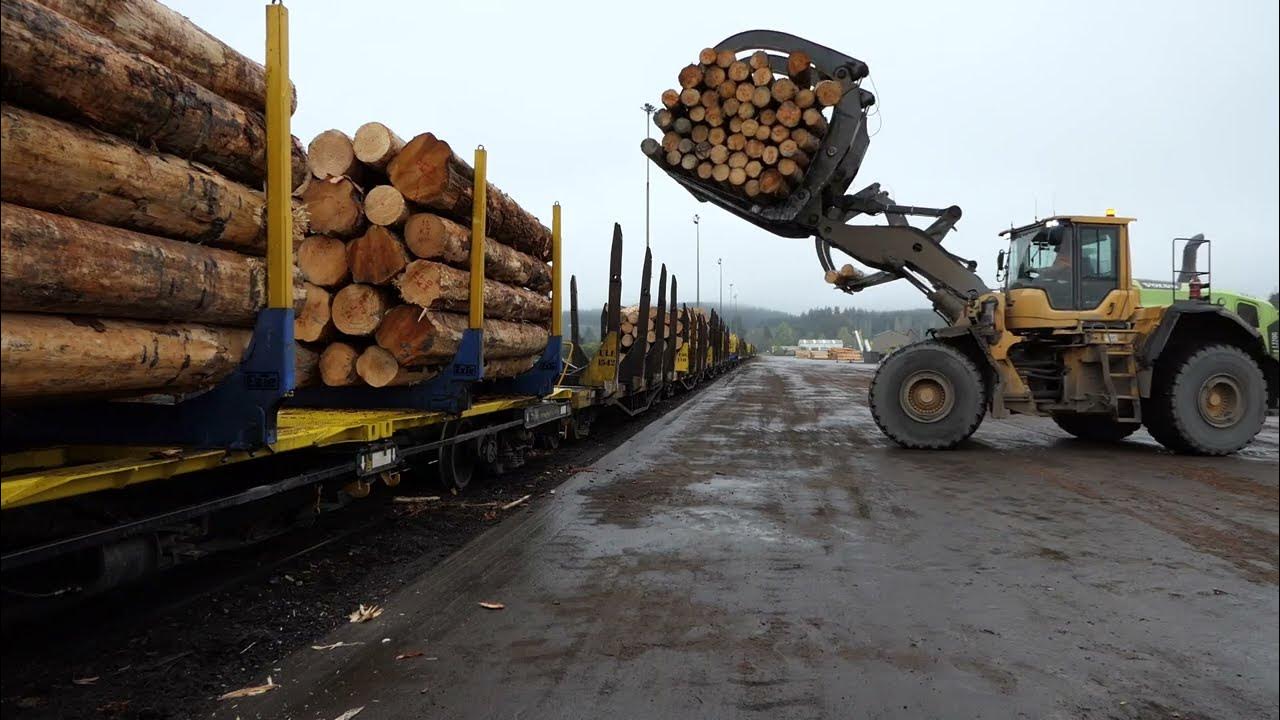 Murupara Logging Terminal Youtube
