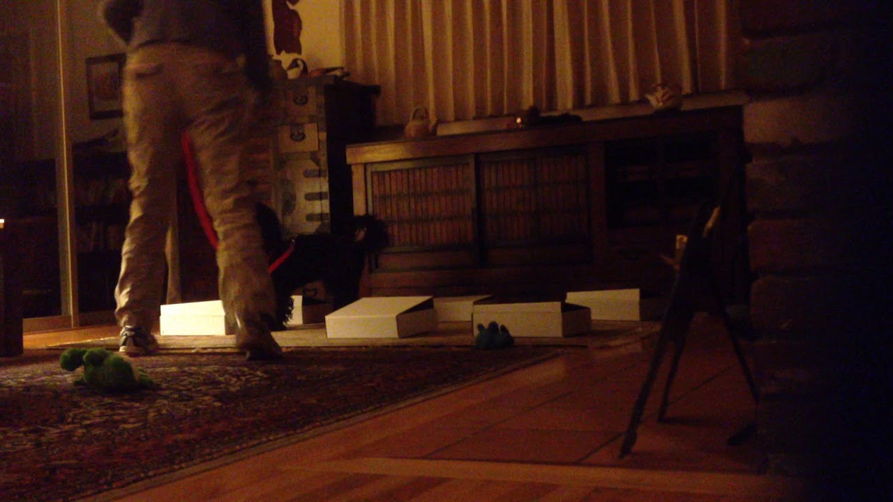 Day 28 Joey ORT Boxes Vented 1st Time - YouTube