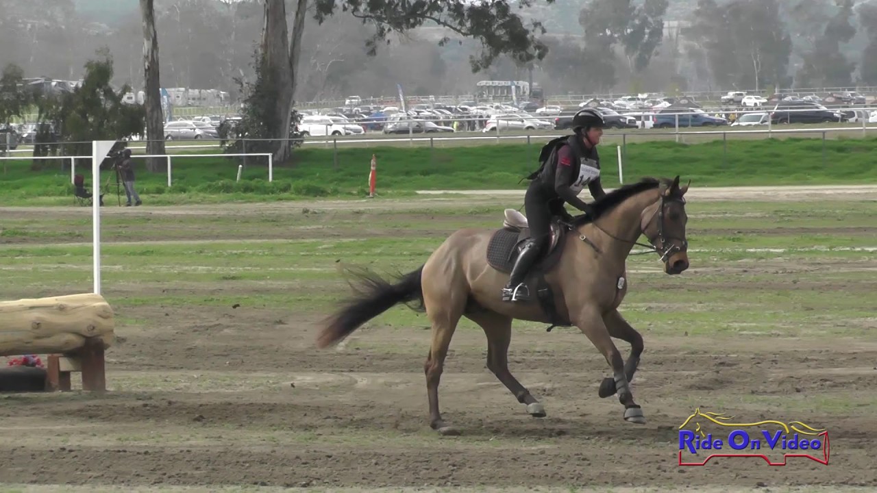 141XC Deborah Rosen on Essex Junction Open Novice Cross Country Galway ...