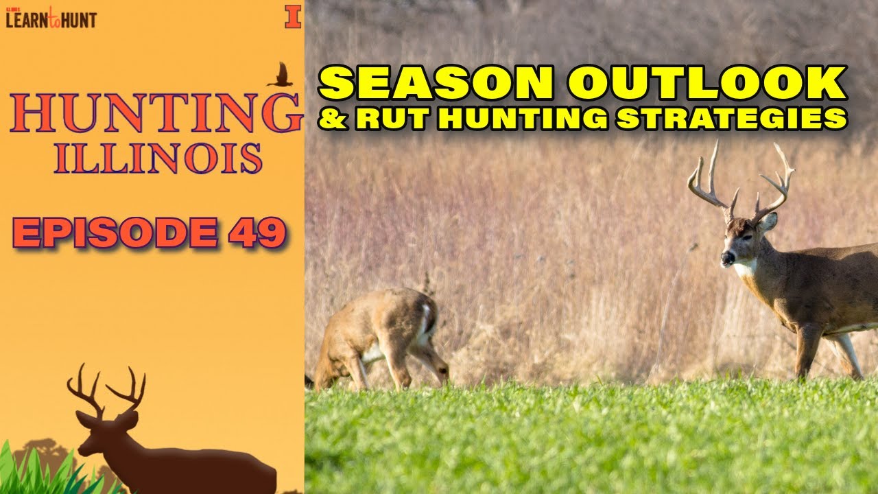 Ep.49| Season Outlook and Rut Hunting Strategies - YouTube