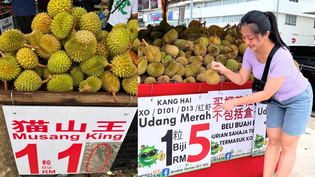 Durian Murah , Musang king,Udang Merah, Duri Hitam(pj ss2 durian - YouTube
