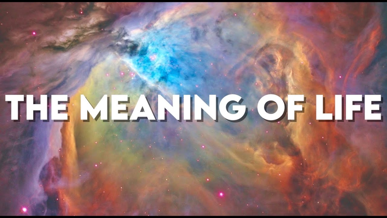 WHAT IS THE MEANING OF LIFE? (Sketch) - YouTube