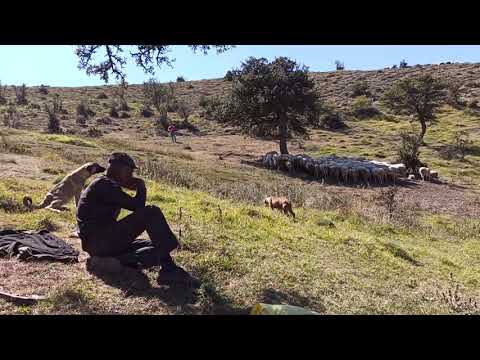Yayladan güzel görüntüler (serin mekan kovucak yaylaları)
