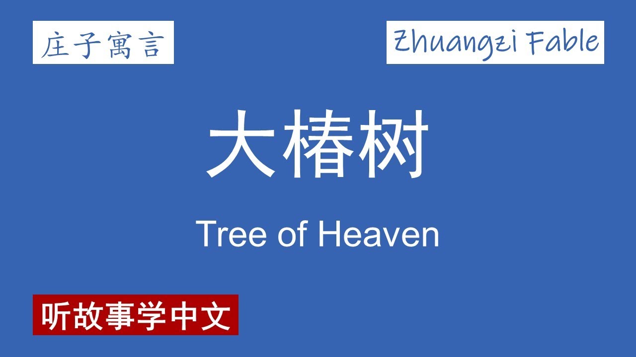 【庄子寓言】大椿树 Tree of Heaven【Zhuangzi Fable】 - YouTube