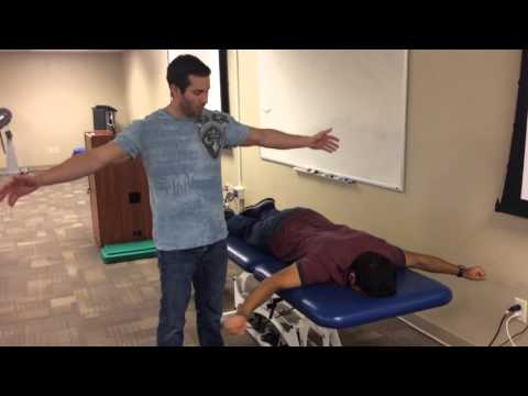Prone Position (short and long lever arm progression) with Wall ...
