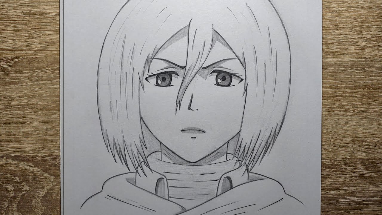 طريقة رسم ميكاسا اكرمان من انمي هجوم العمالقة كيفية رسم ميكاسا خطوة