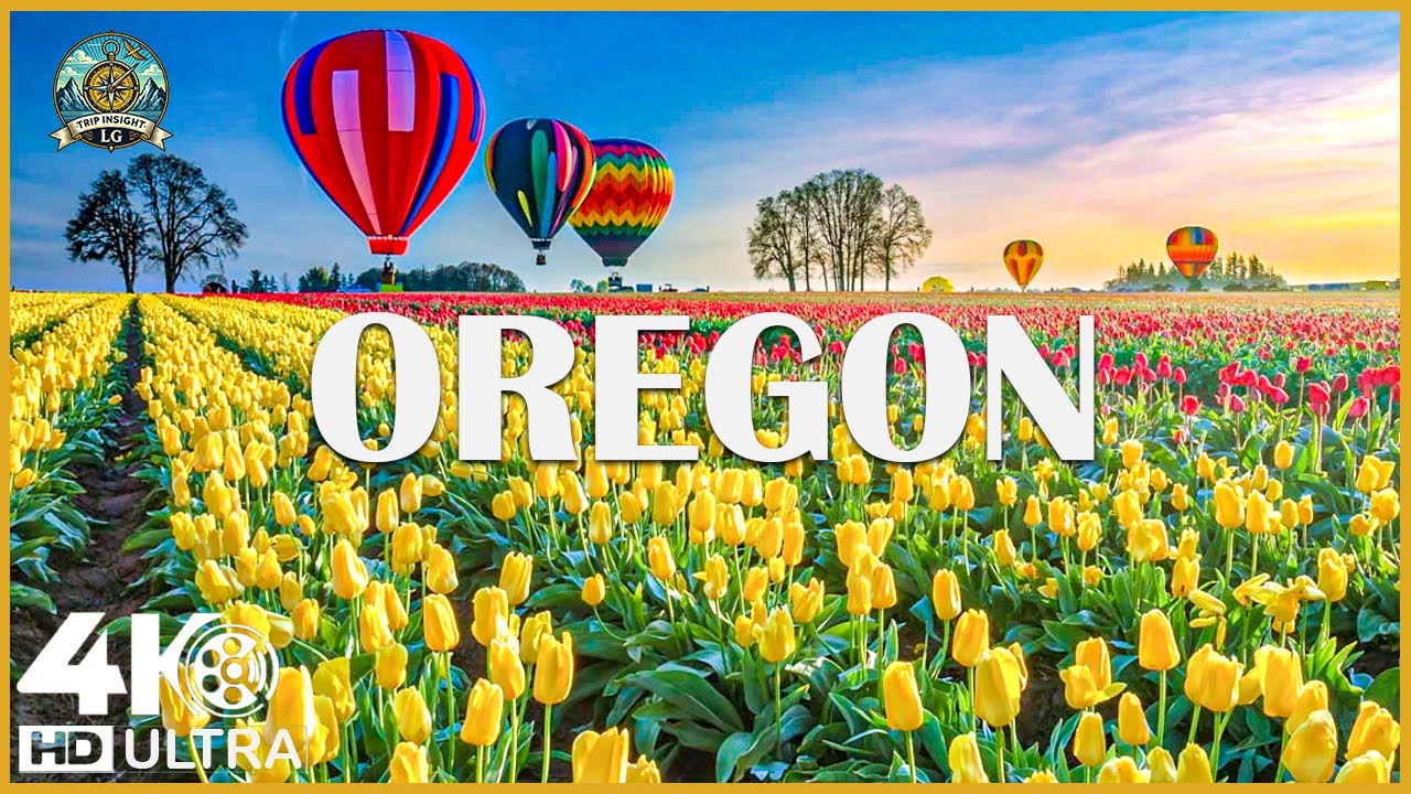 Wonders of OREGON🌞The Most Amazing Places In OREGON🌍Travel Video 4K ...