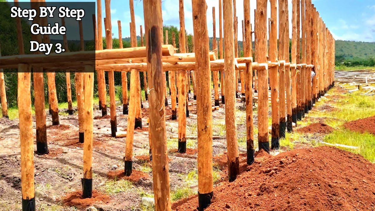 Step by step guide For Raised Goat Structure | Day 3| 2023 - YouTube