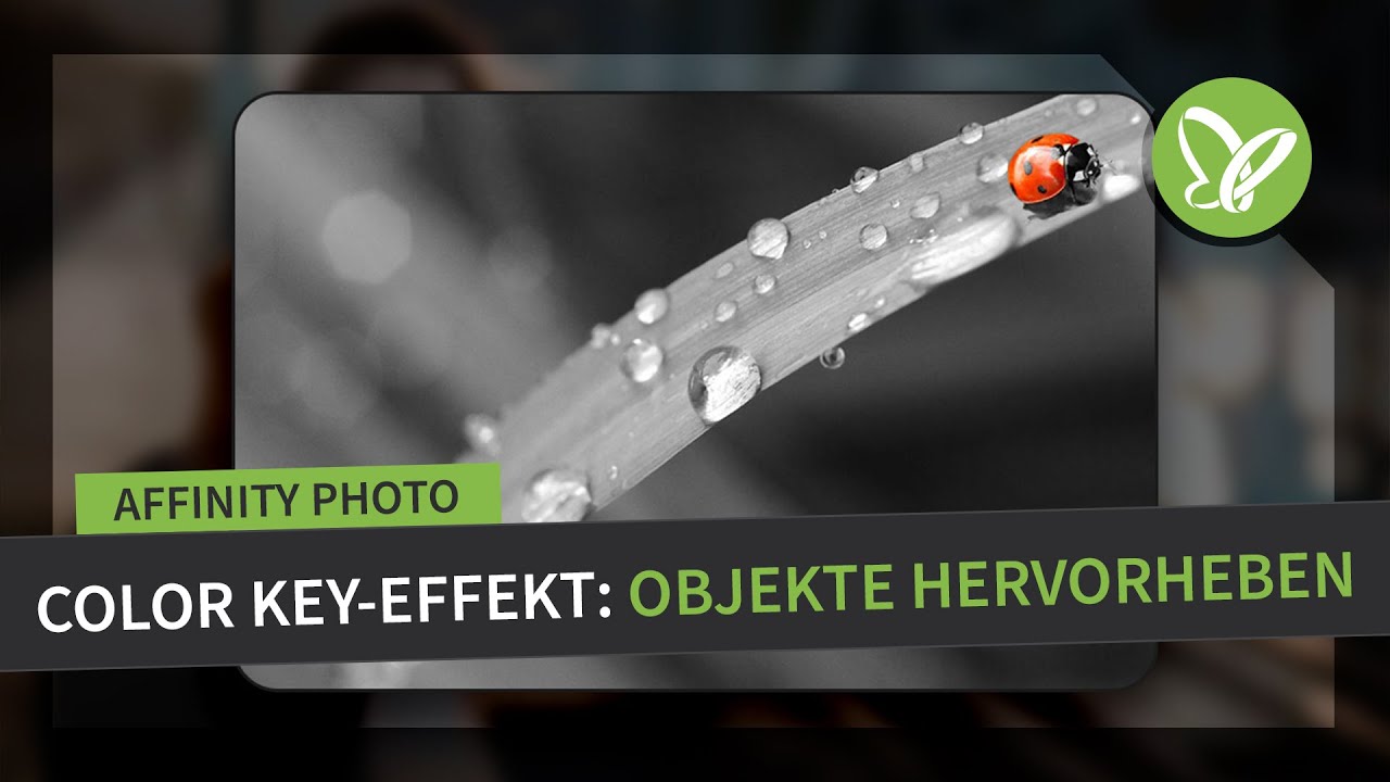 Affinity Photo-Tutorial: Best of Hacks – Color Key-Effekt - YouTube