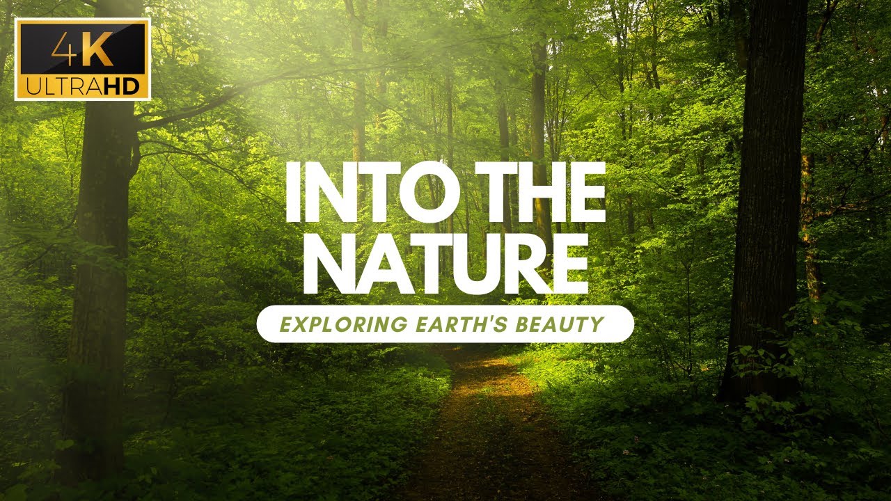 Natural 4K Video Fantastic Waterfall in the Countryside | Natural 4k ...