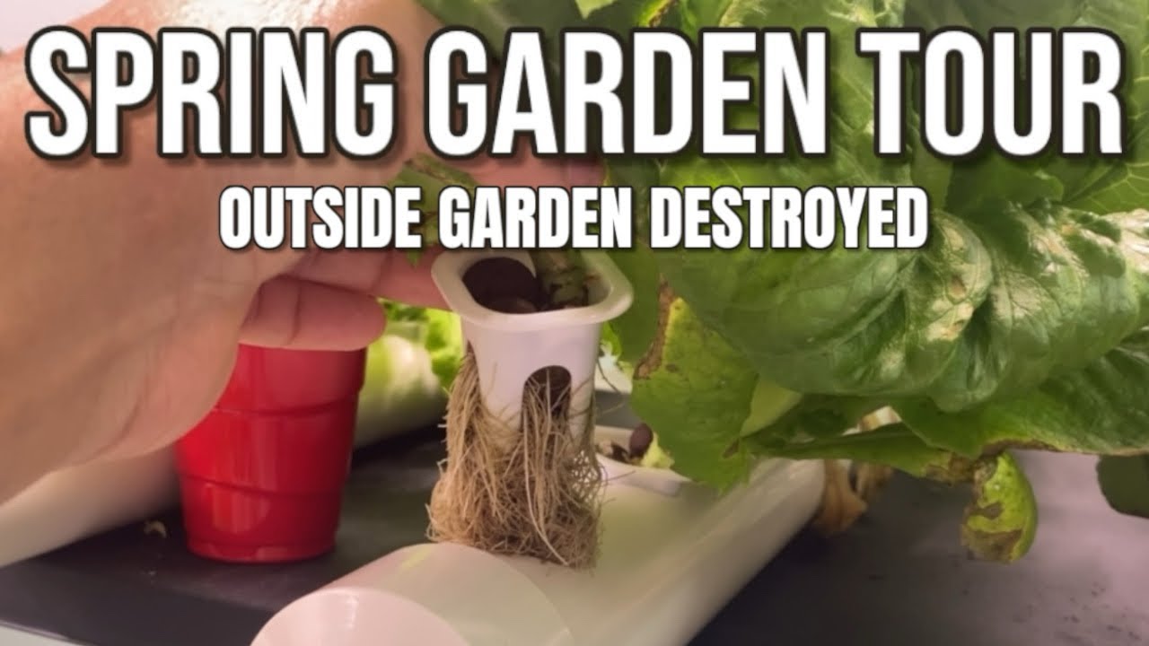 My Indoor & Outdoor Spring Garden - YouTube