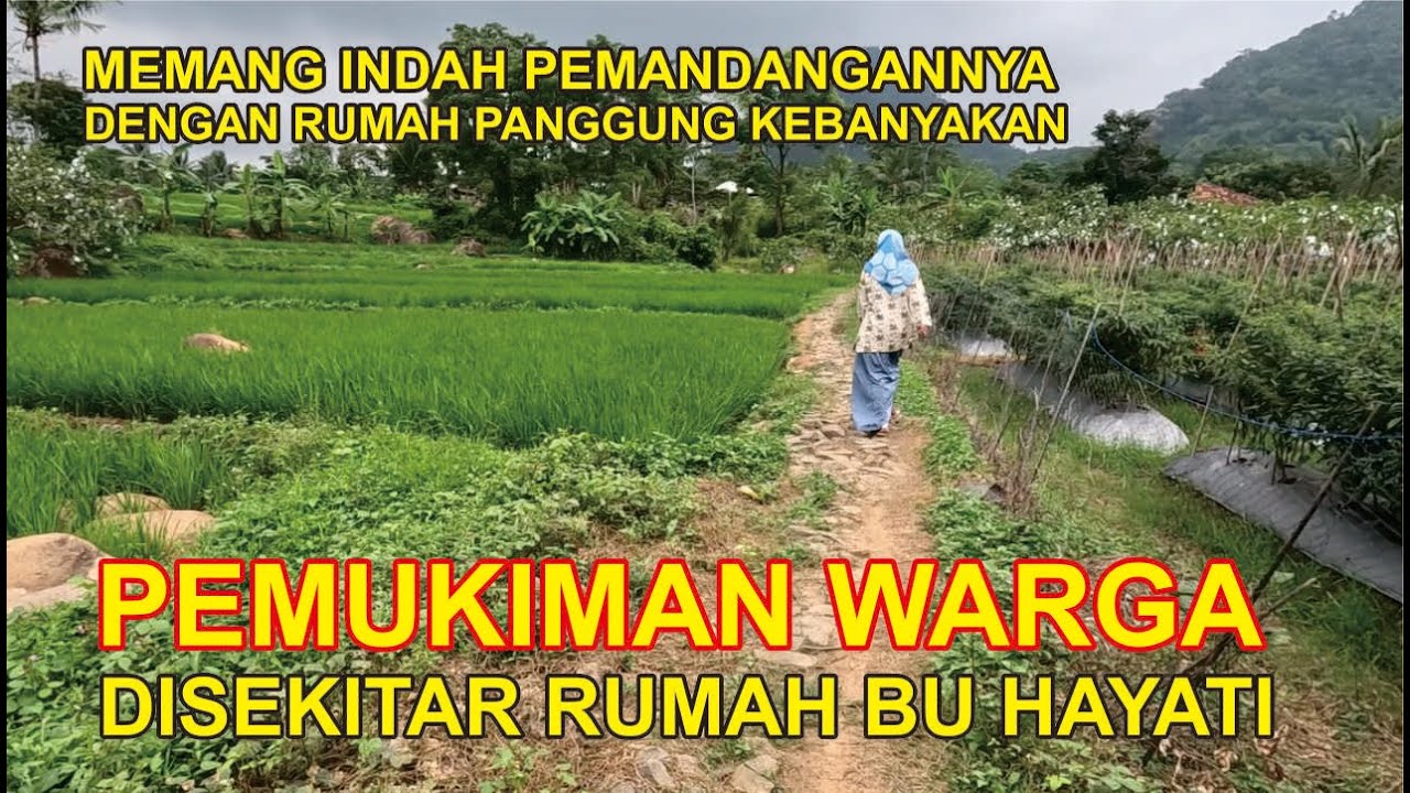TERNYATA DI KAMPUNG BU HAYATI ITU BENAR BENAR INDAH DAN MENAWAN DENGAN ...