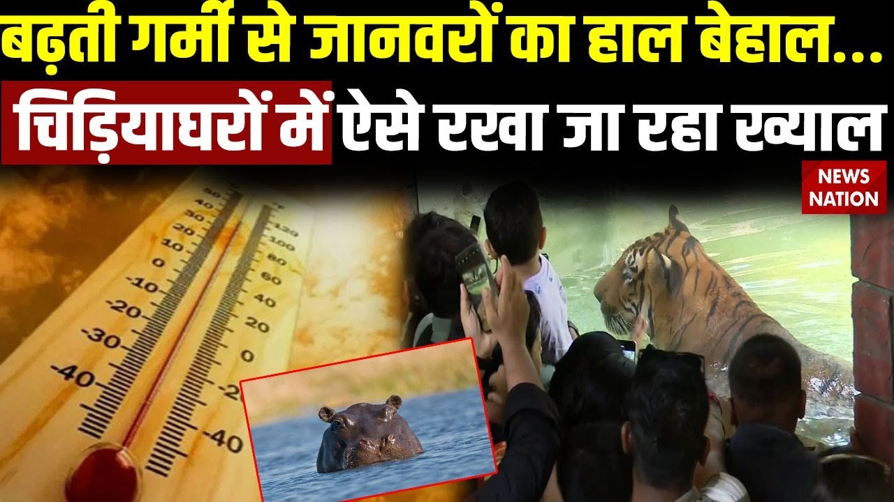 Mumbai Zoo Heat Wave: बढ़ती गर्मी से जानवर भी परेशान, मुंबई में ...