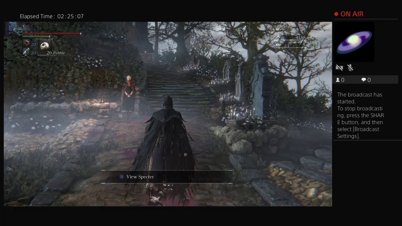 Bloodborne Blood Run Part 3 - YouTube