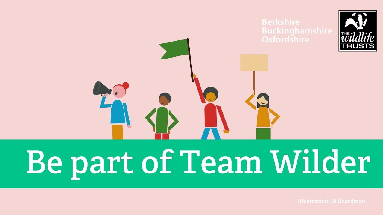 Be part of Team Wilder - YouTube