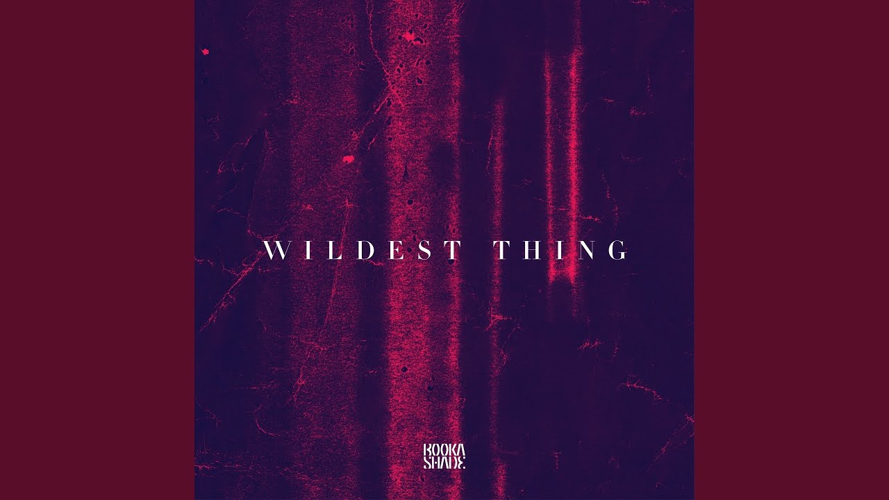 Wildest Thing YouTube wildest-thing-youtube