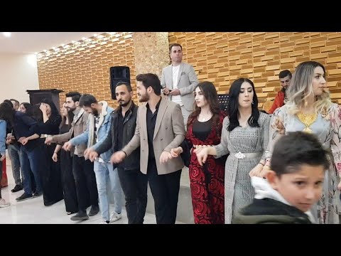 Hozan Tacettin , New Davat - van düğünler   [  © HD ]