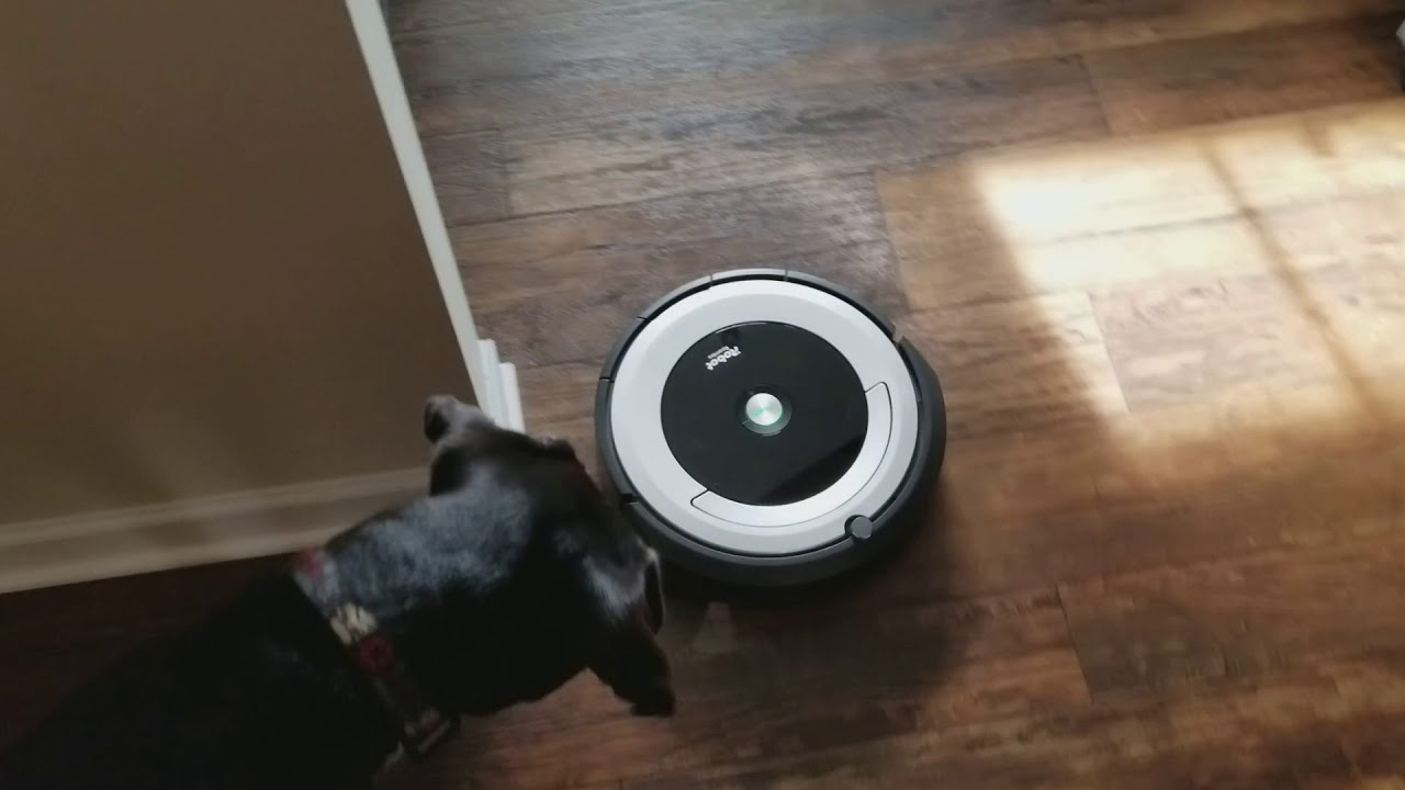First Roomba Run - YouTube