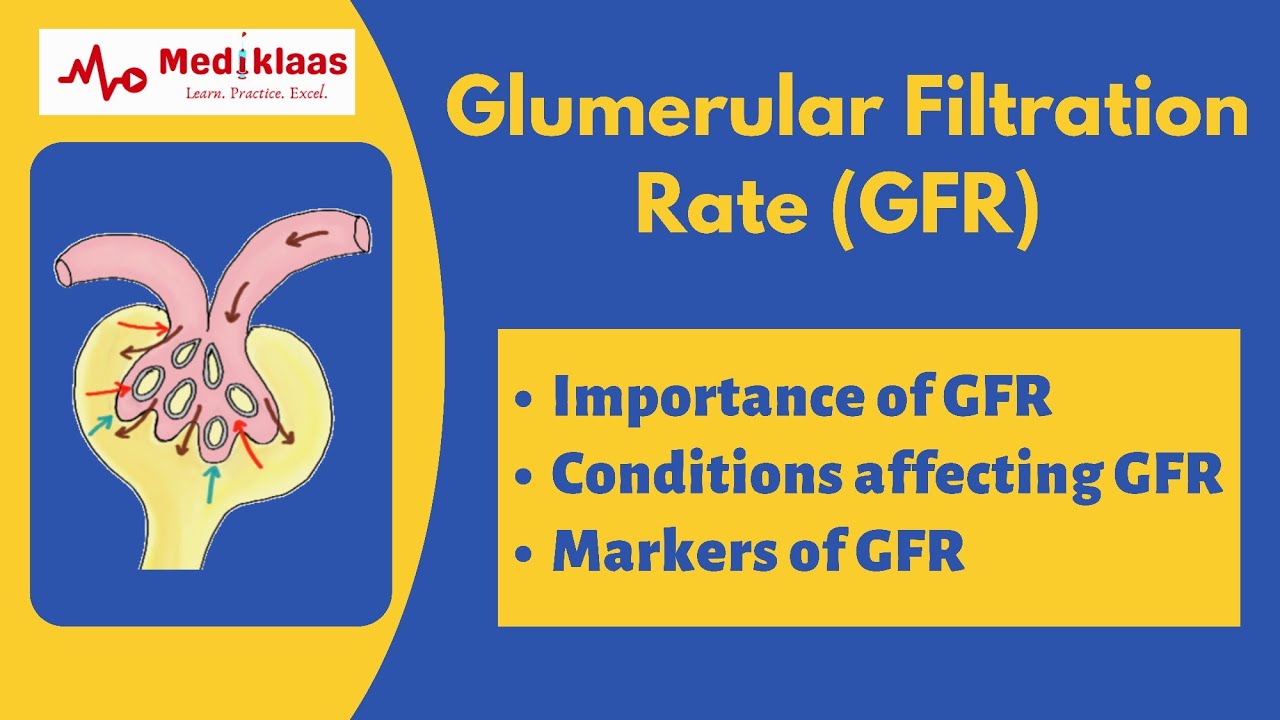 Glumerular Filtration Rate (GFR) | Renal system | Physiology ...