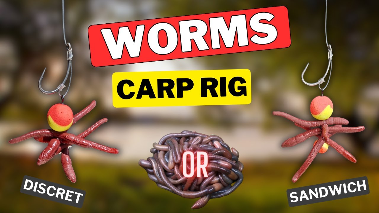 Worms Rig: Catch Carp With Worms (How To Rig) - YouTube