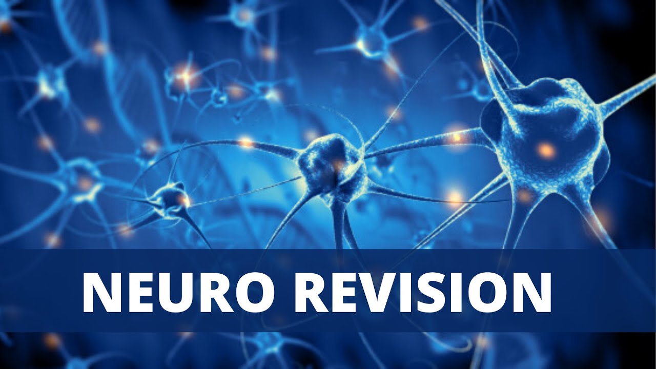 Neurology Revision 18 muscle disease - YouTube