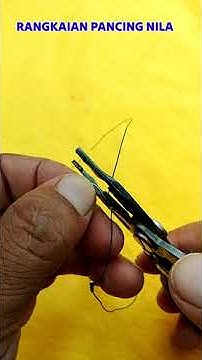 seperti ini cara membuat rangkaian pancing nila 2 kail, umpan udang dan cacing - YouTube