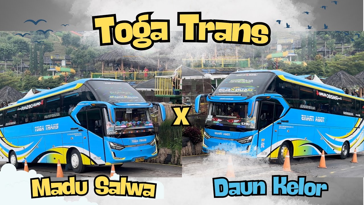 Duo Toga Trans 🔥🔥 Madu Salwa X Daun Kelor membasuri Di Darajat Pass ...