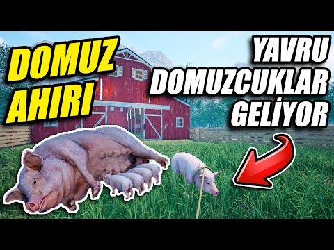 YENİ DOMUZ AHIRI KURUYORUZ // GELSİN YAVRU DOMUZCUKLAR🤣 | RANCH SIMULATOR !!