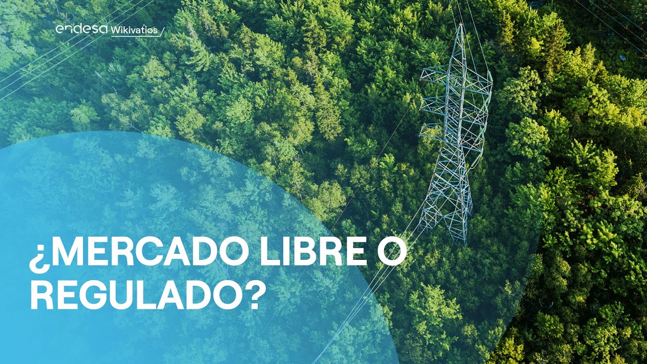 Qué son el mercado libre y el mercado regulado y qué les diferencia ...