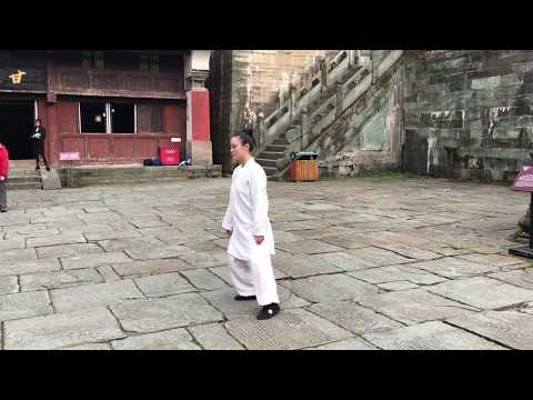 Wudang Taichi 9 Forms - Jackie Zhang Fan Shimu