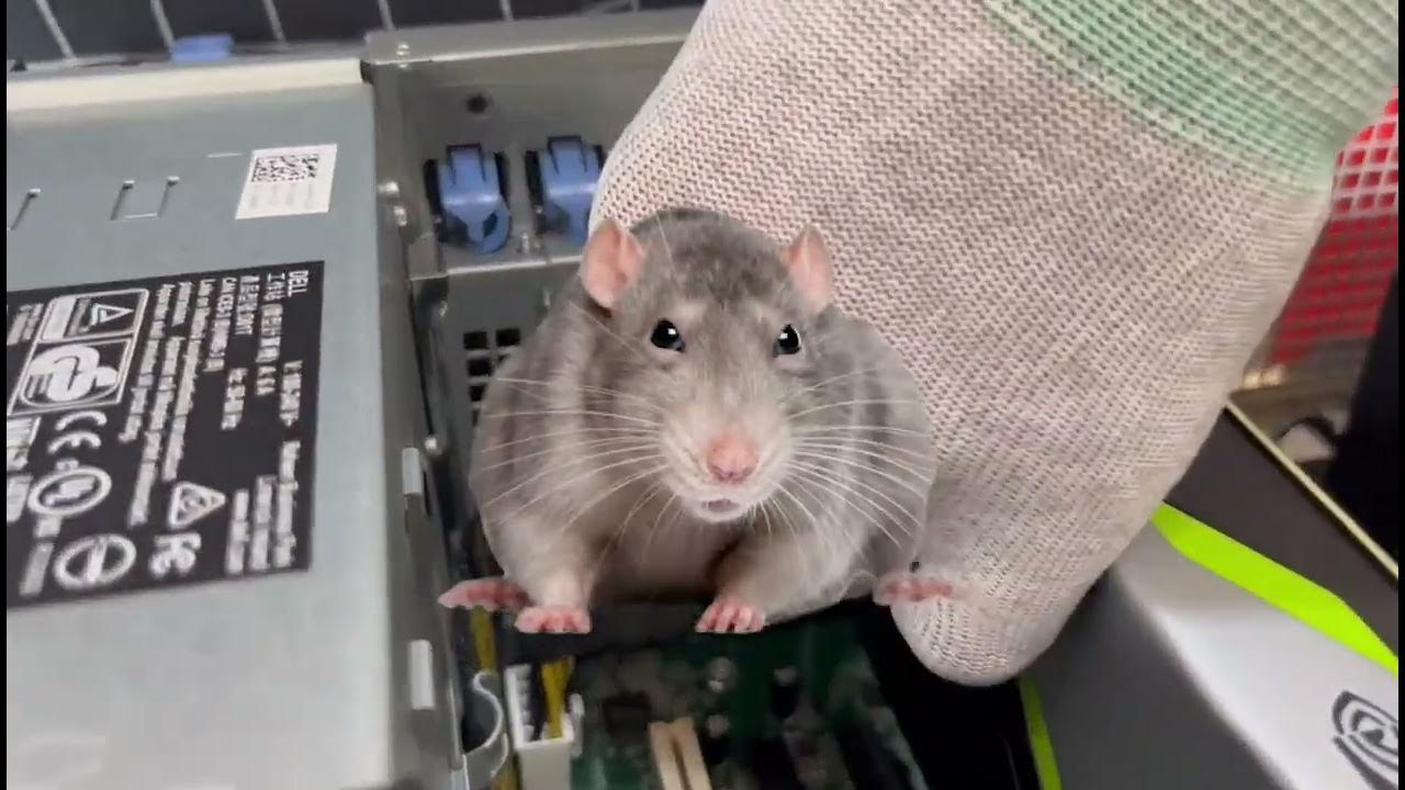 Customer asks me! Can You REALLY Build a PC Under 1lac for 3D Animations in 2024? #howto #how ...