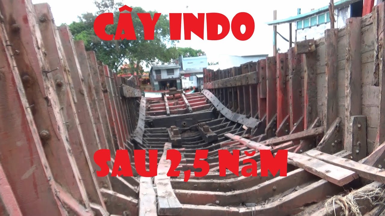 BỂ NỢ VÌ ĐÓNG GHE BẰNG CÂY INDO SAU 2 NĂM MỤC NÁT - YouTube