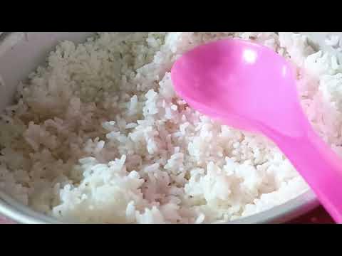 hnub no peb mus txiav taws los noj su ntxuag dib qab heev 2024 - YouTube