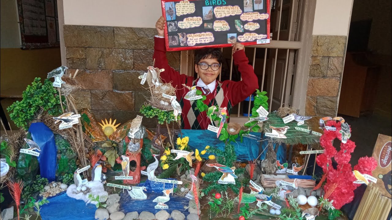 project on birds (science)by Srijan - YouTube