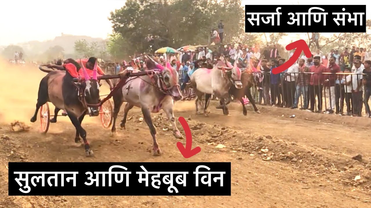 Maharashtra Bailgada Sharyat - YouTube