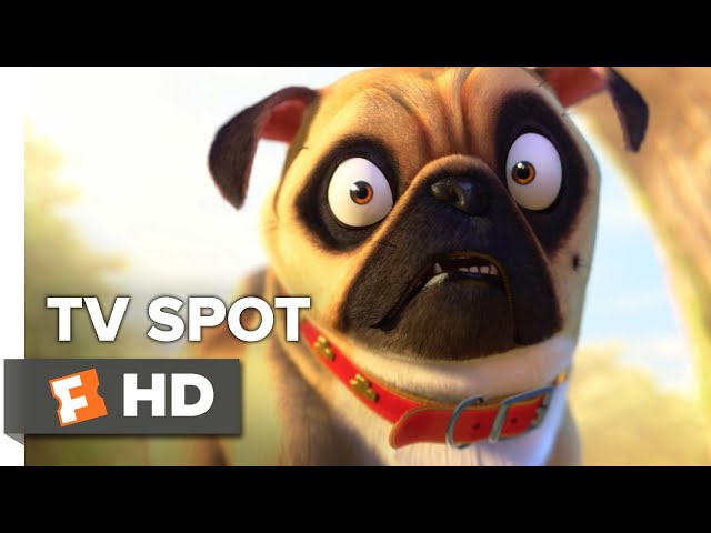The Nut Job Precious The Nut Job 2: Nutty By Nature | Watch Page